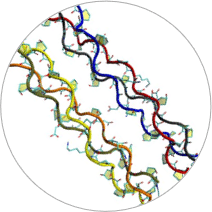 Our Science | BioStem Technologies